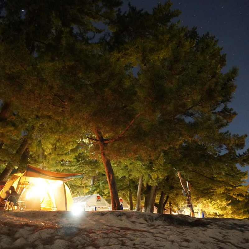 取扱製品 - ELESTA